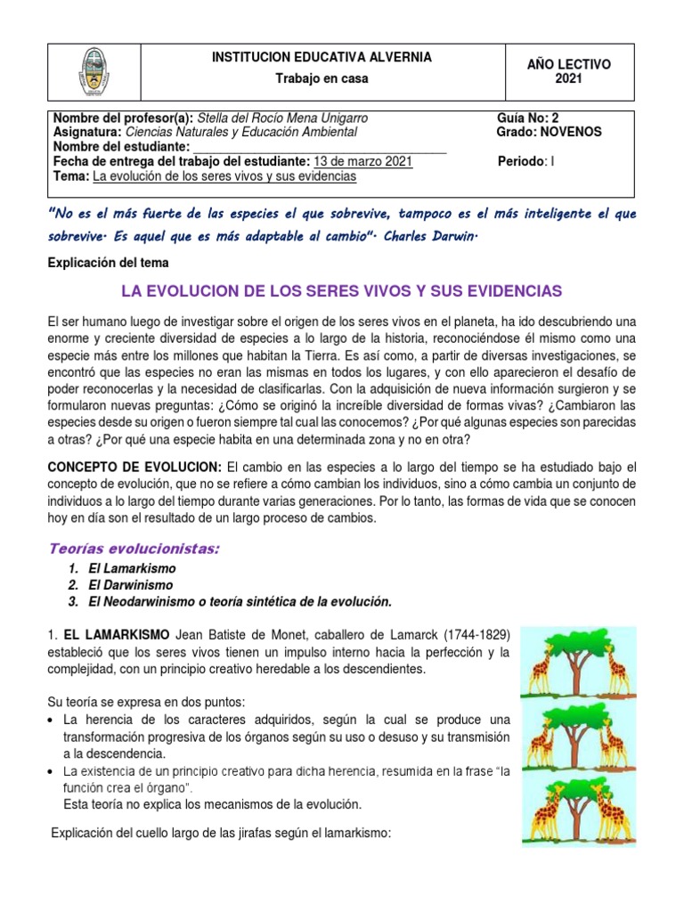 Guia #2 La Evolucion y Sus Evidencias Grado Noveno | PDF | Homología ...