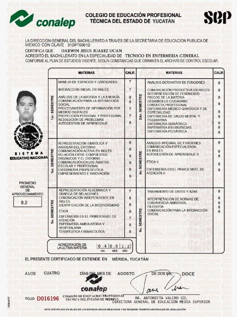 Conalep Yucatan | PDF