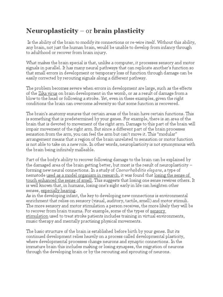 Neuroplasticity - or Brain Plasticity | PDF | Neuroplasticity | Brain