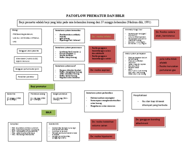 Patoflow Prematur Dan BBLR | PDF