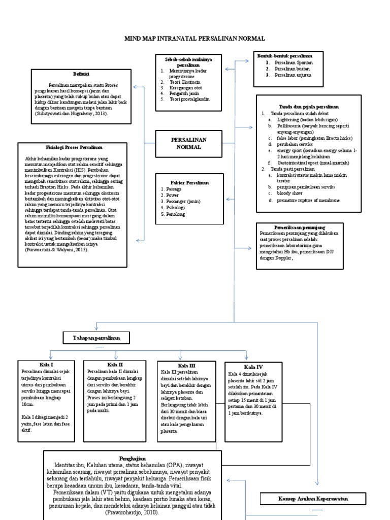 Mind Map Intranatal Persalinan Normal | PDF