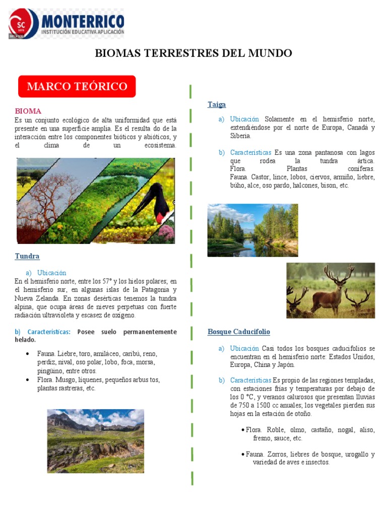 Biomas Terrestres Del Mundo | PDF | Ecorregiones | Ecología