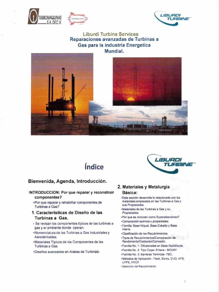 Liburdi Turbine Services | PDF