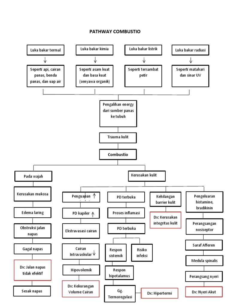 Pathway Combustio | PDF