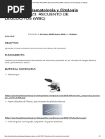 Practica 1 Recuento de Globulos Blancos (A) | PDF | Leucocito | Medicina CLINICA