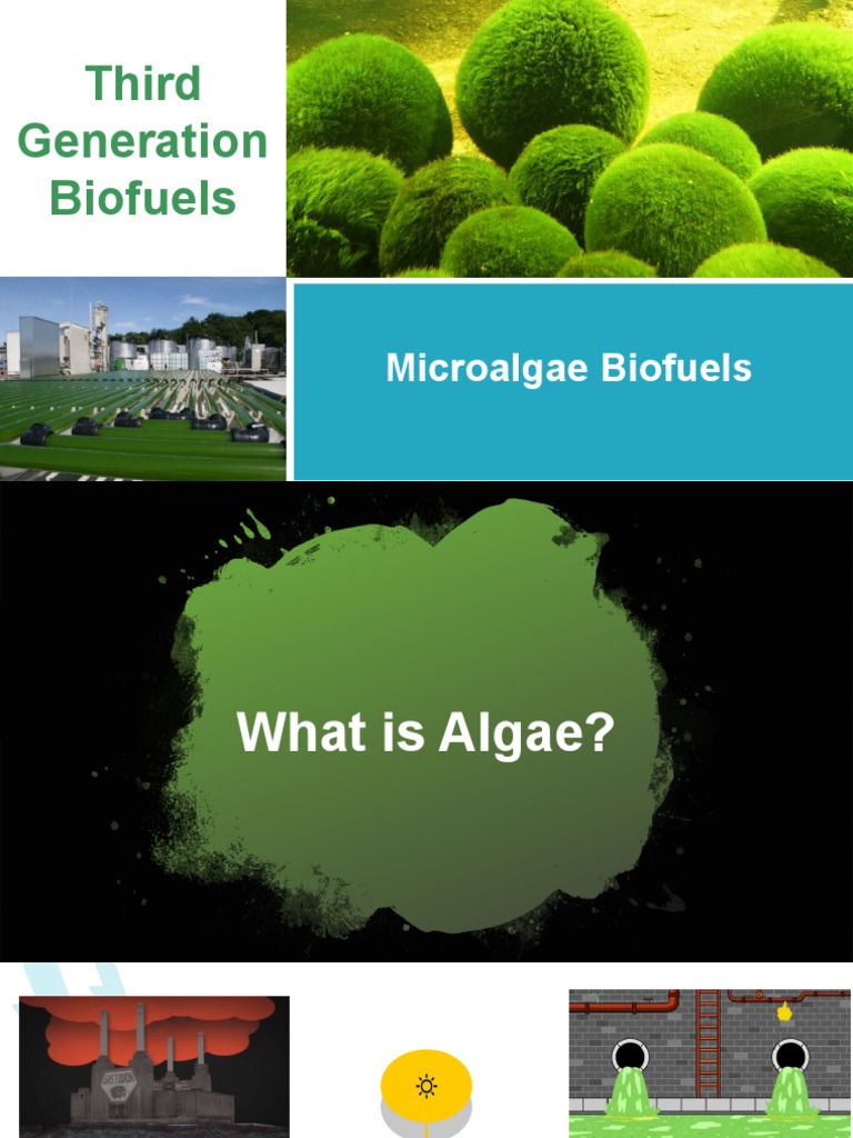Third Generation Biofuels | PDF | Algae Fuel | Biofuel