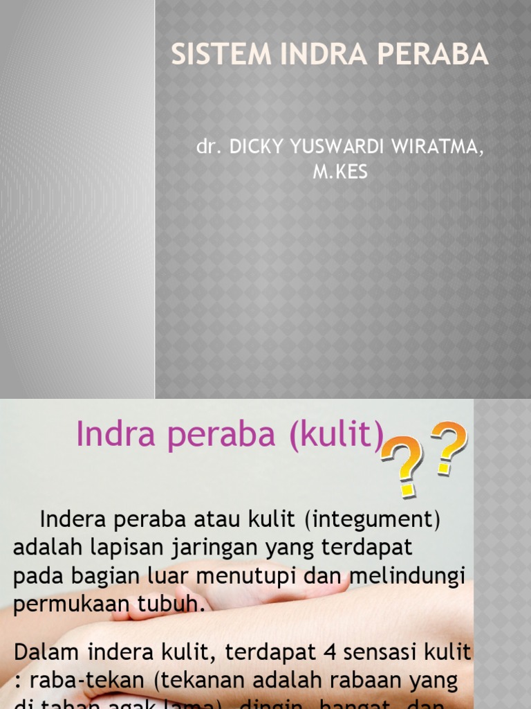 Sistem Indra Peraba | PDF | Sains & Matematika