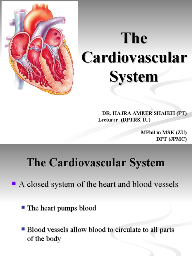Anatomy of CVS | PDF | Artery | Heart Valve