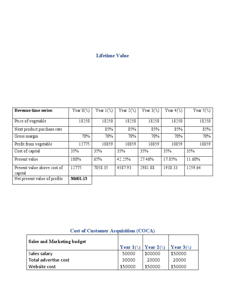 Lifetime Value: Revenue Time Series | PDF