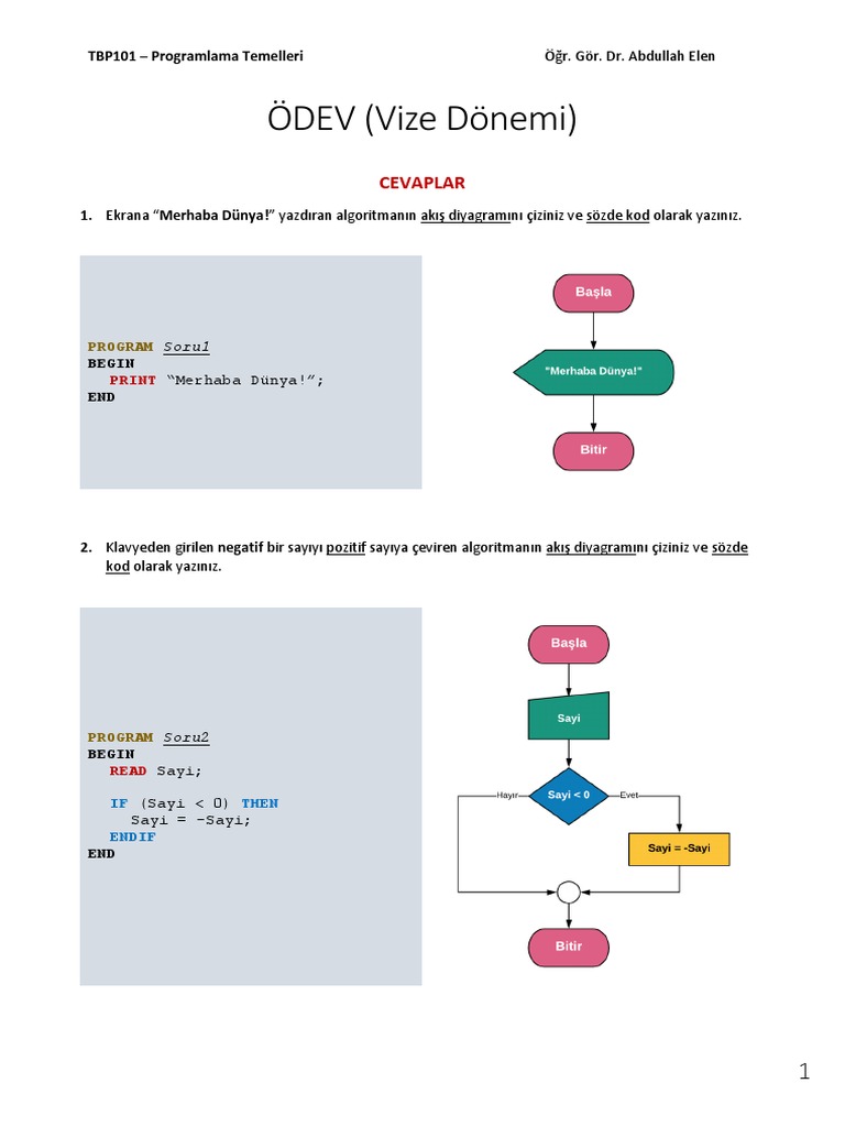 ÖDEV (Vize Dönemi) : Cevaplar | PDF
