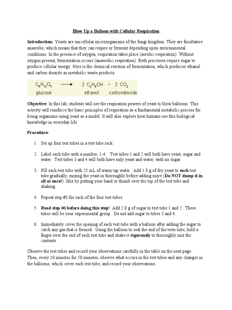 Blow Up A Balloon With Cellular Respiration Lab | PDF | Cellular ...