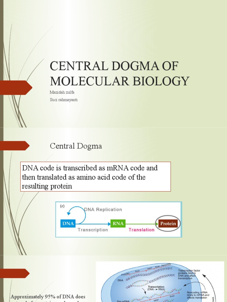 Dogma Sentral Dalam Biologi Molekuler | PDF
