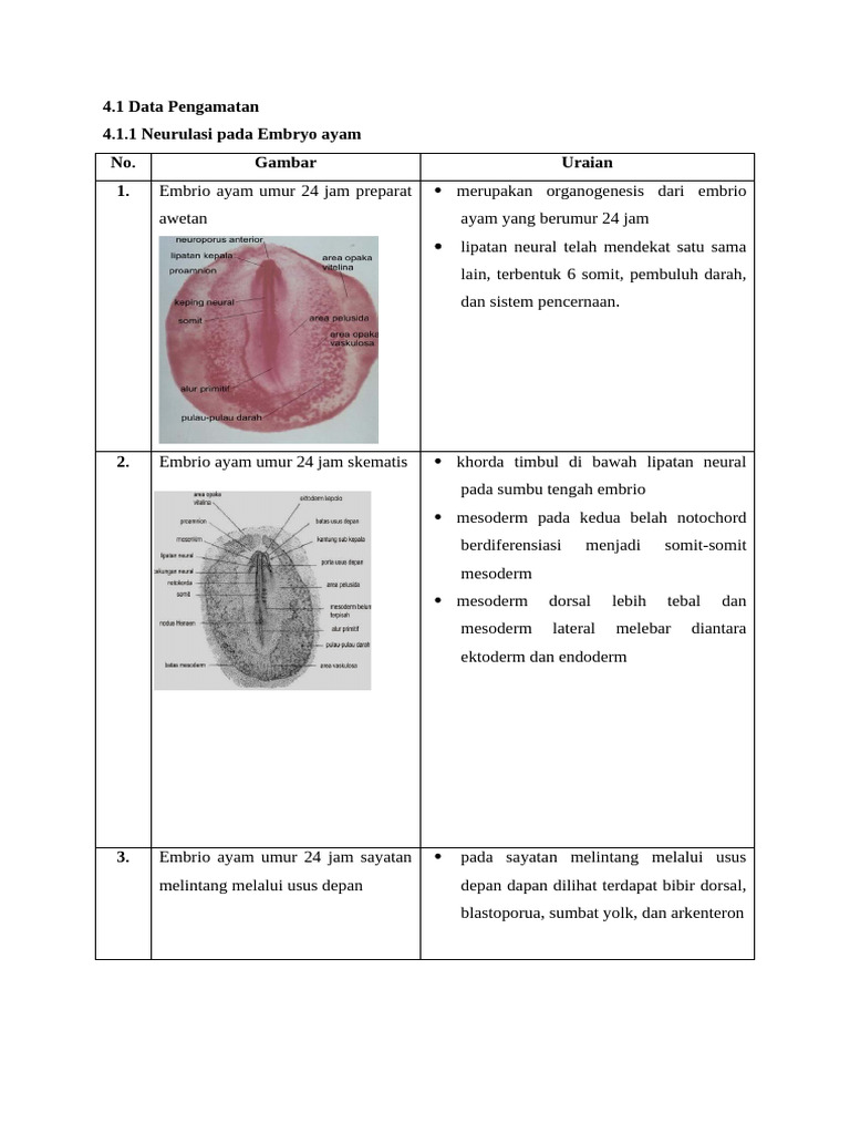 Embrio Ayam PDF Free | PDF