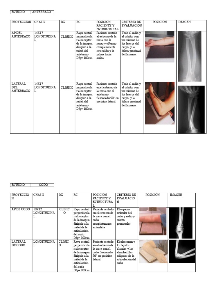 Estudio Humero Codo y Cubito y Radio | PDF | Codo | Hombro