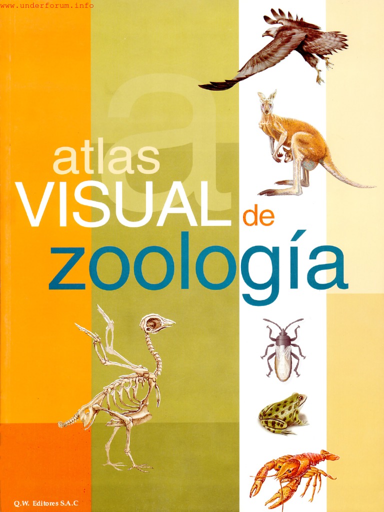 Atlas Visual de Zoologia | PDF | Foreign Language Studies | Law