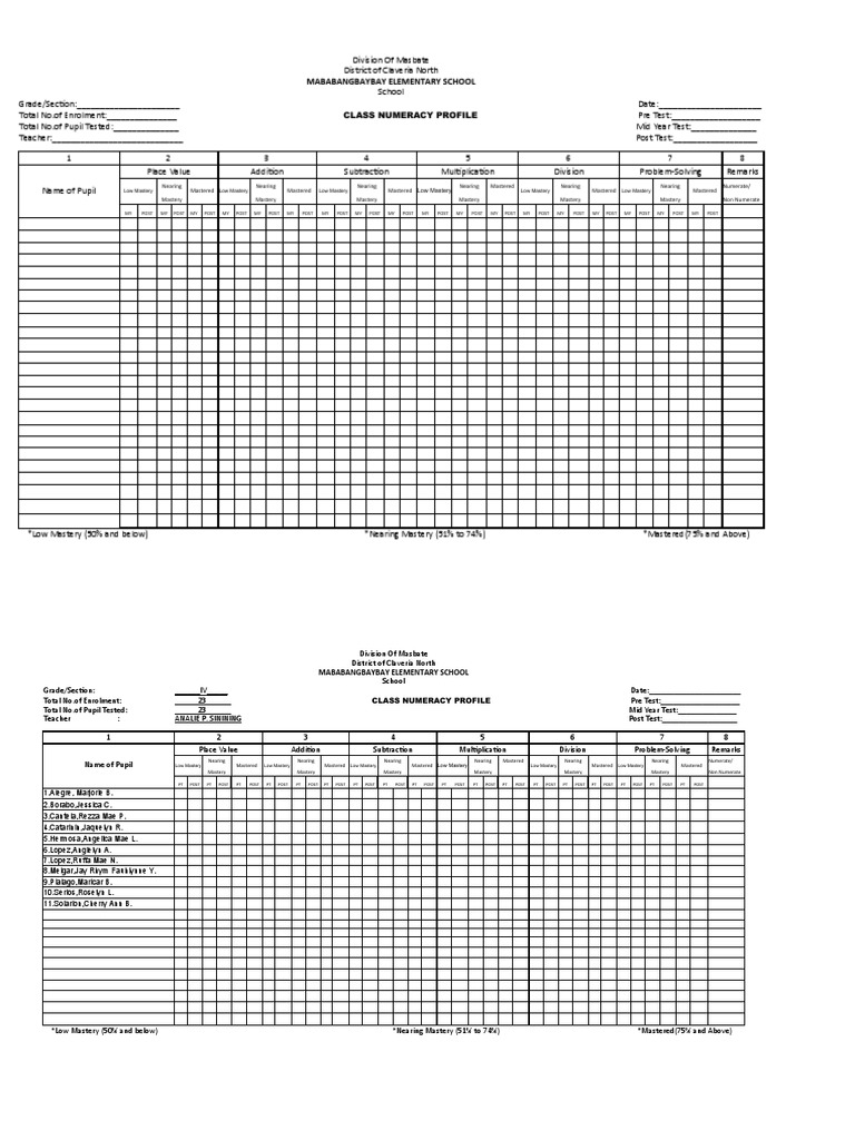 Class Numeracy Profile | PDF | Elementary Mathematics | Number Theory