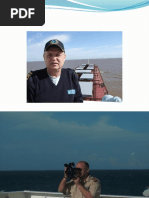 Ships Organizational Chart | PDF | Sea Captain | Ships