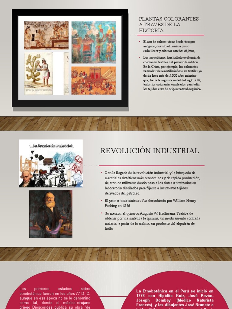 Plantas Con Colorantes Naturales | PDF | Carotenoide | Clorofila