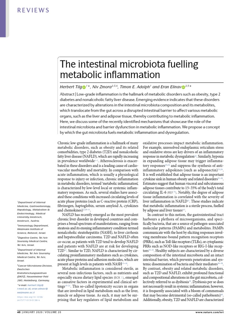 The Intestinal Microbiota Fuelling Metabolic Inflammation: Herbert Tilg ...