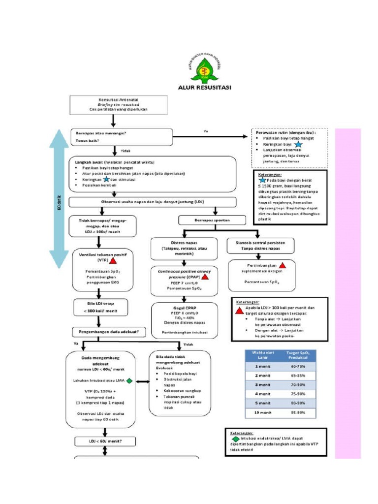 Alur Resusitasi | PDF