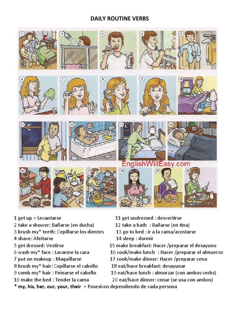 Daily Routine Verbs List With Pictures | PDF