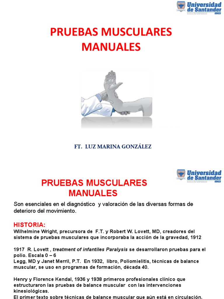 Pruebas Musculares Manuales | PDF | Músculo | Enfermedades y trastornos