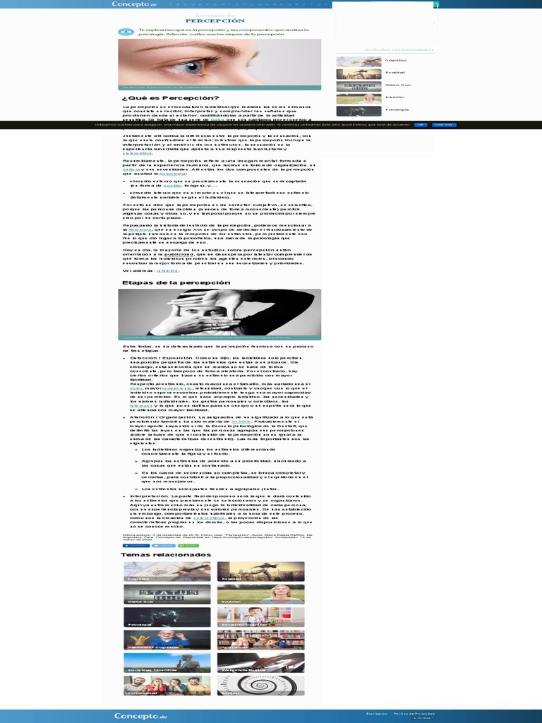 Percepción - Concepto, Etapas y Componentes | PDF | Percepción | Sentidos