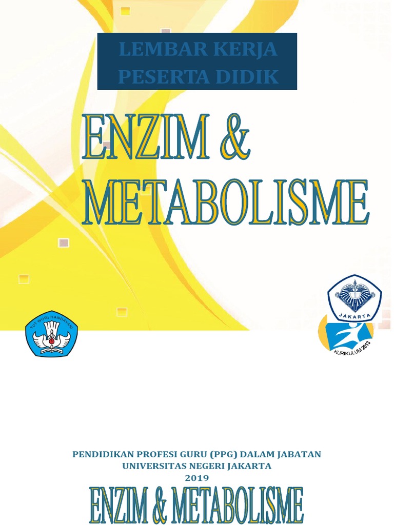 LKPD Enzim & Metabolisme - Kurniati Maulany | PDF