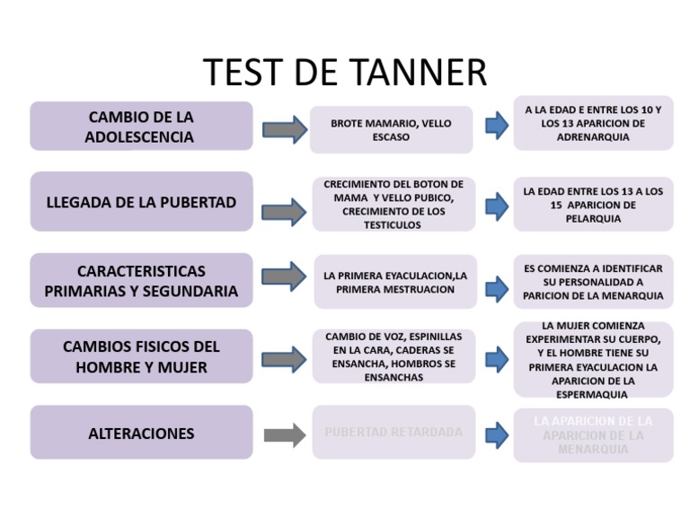 Test de Tanner | PDF