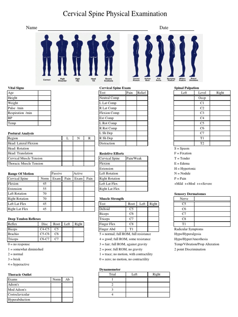 Cervical Spine Physical Exam | PDF | Spinal Cord | Human Anatomy