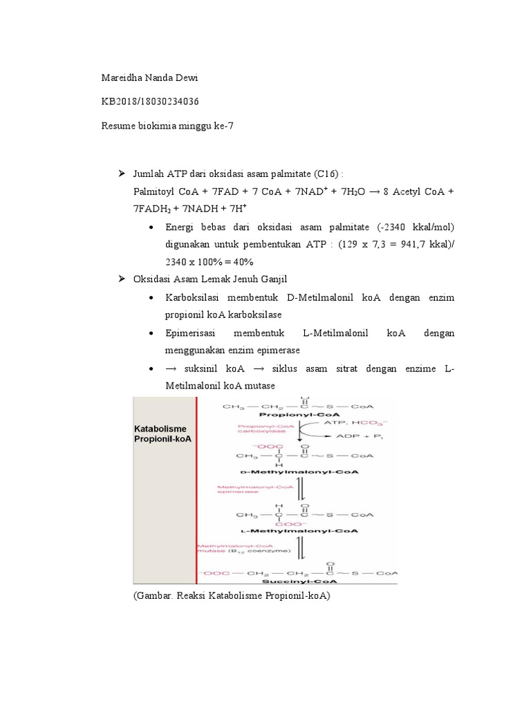Biokimia Metabolisme 7 | PDF