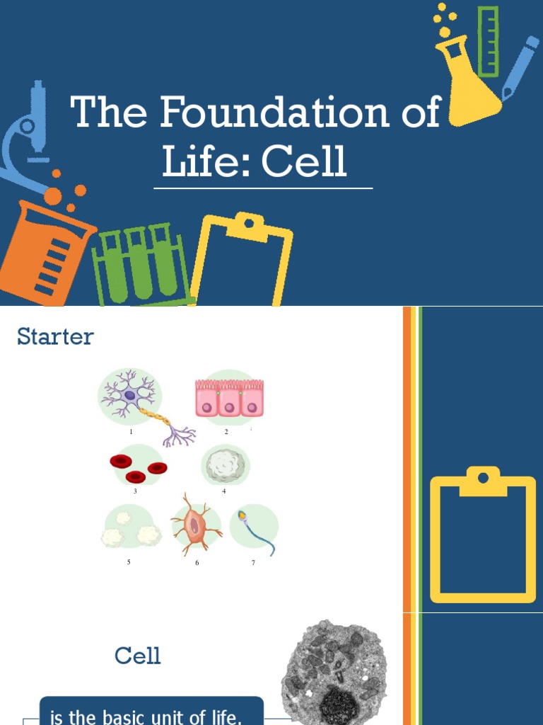 The Foundation of Life: Cell | PDF | Science & Mathematics