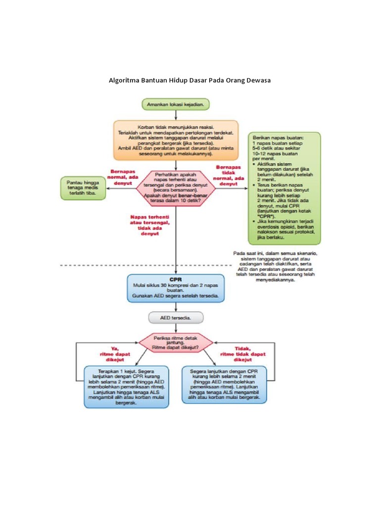 Algoritma BHD Dewasa | PDF