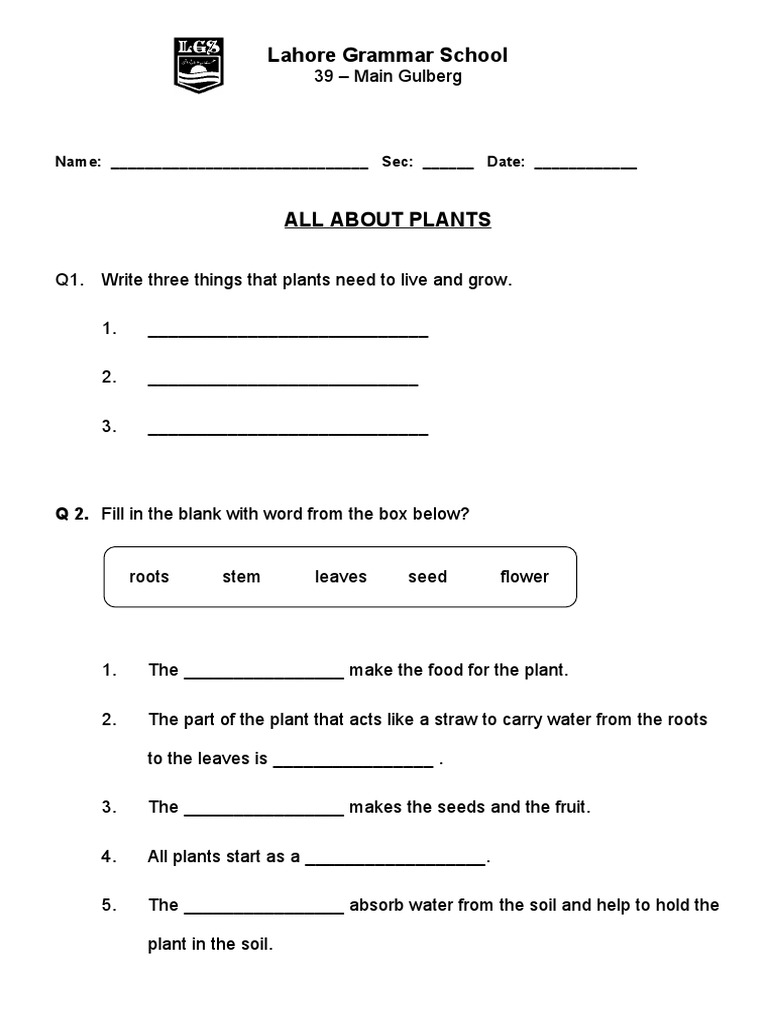Worksheet - All About Plants | PDF