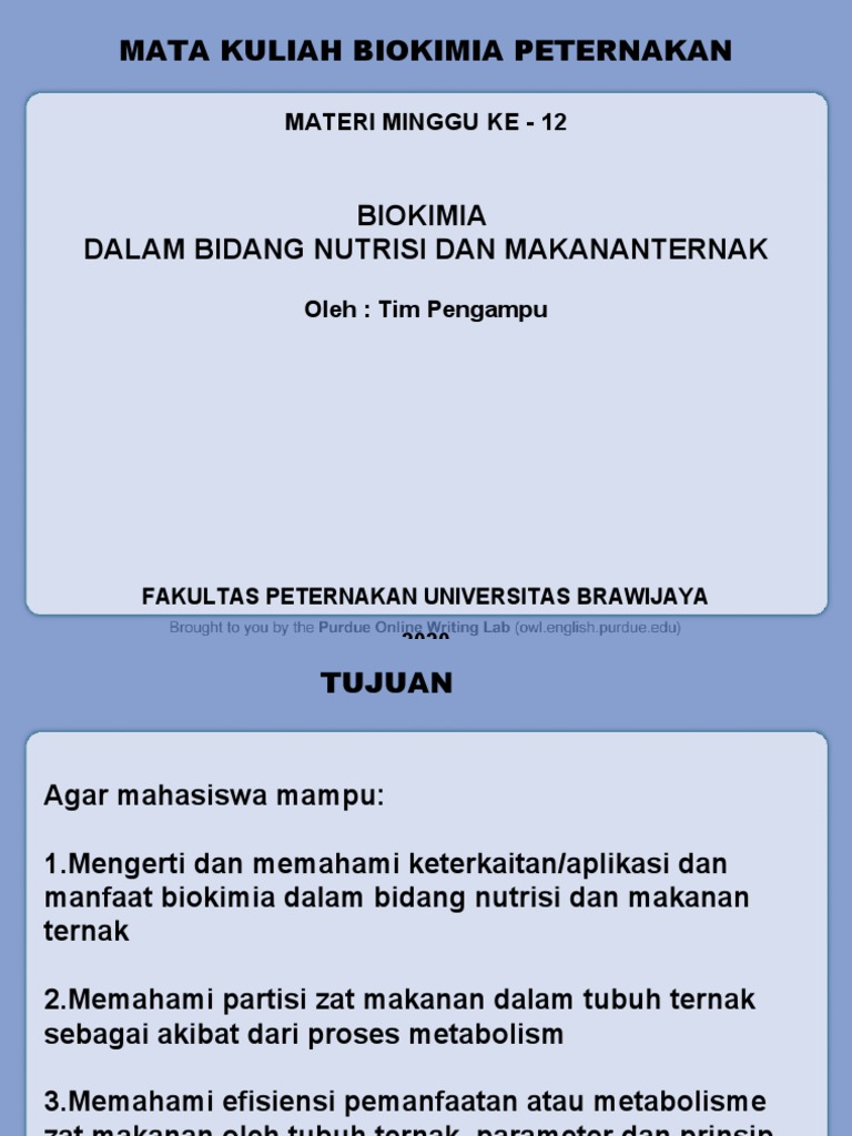 Biokimia Nutrisi Ternak: Metabolisme & Efisiensi | PDF