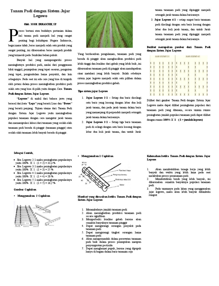 Sistem Jajar Legowo Tanam Padi | PDF