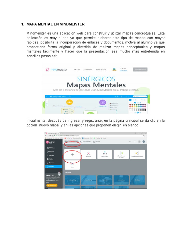 Mapa Mental en Mindmeister | PDF