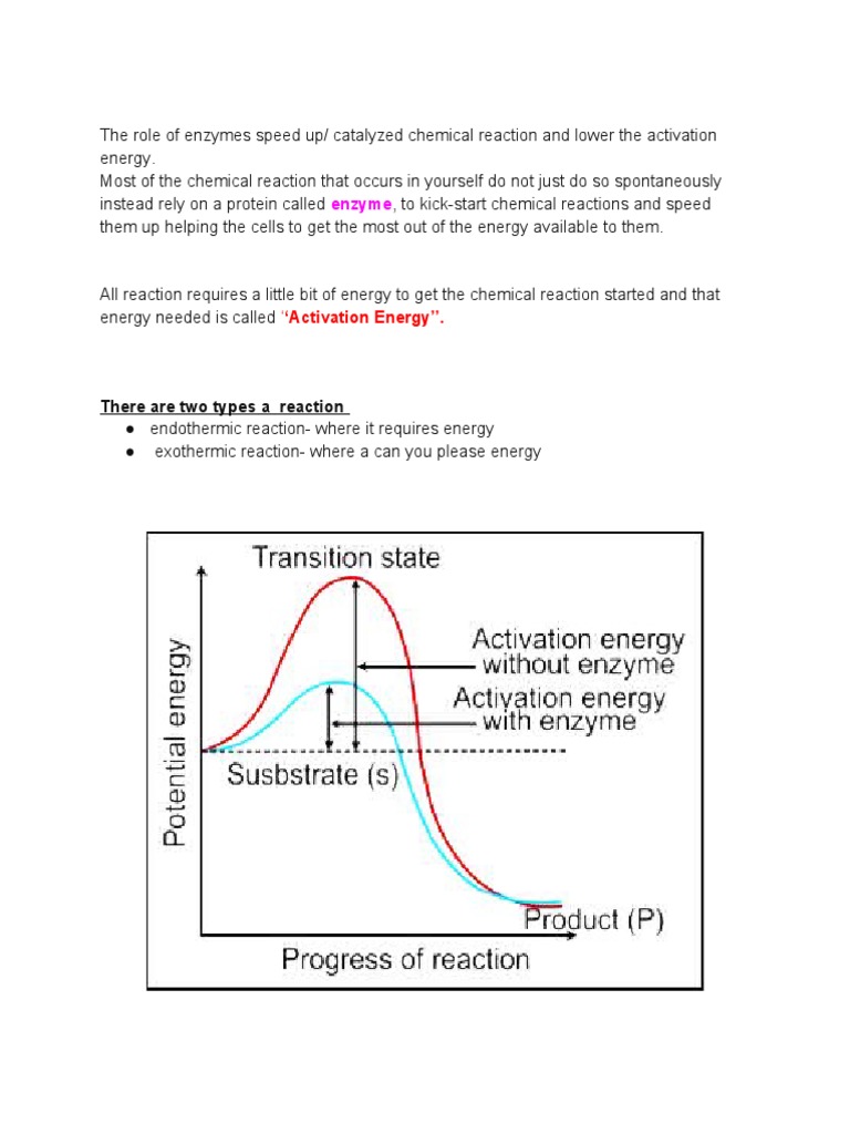How Enzymes Lower Activation Energy and Catalyze Chemical Reactions ...