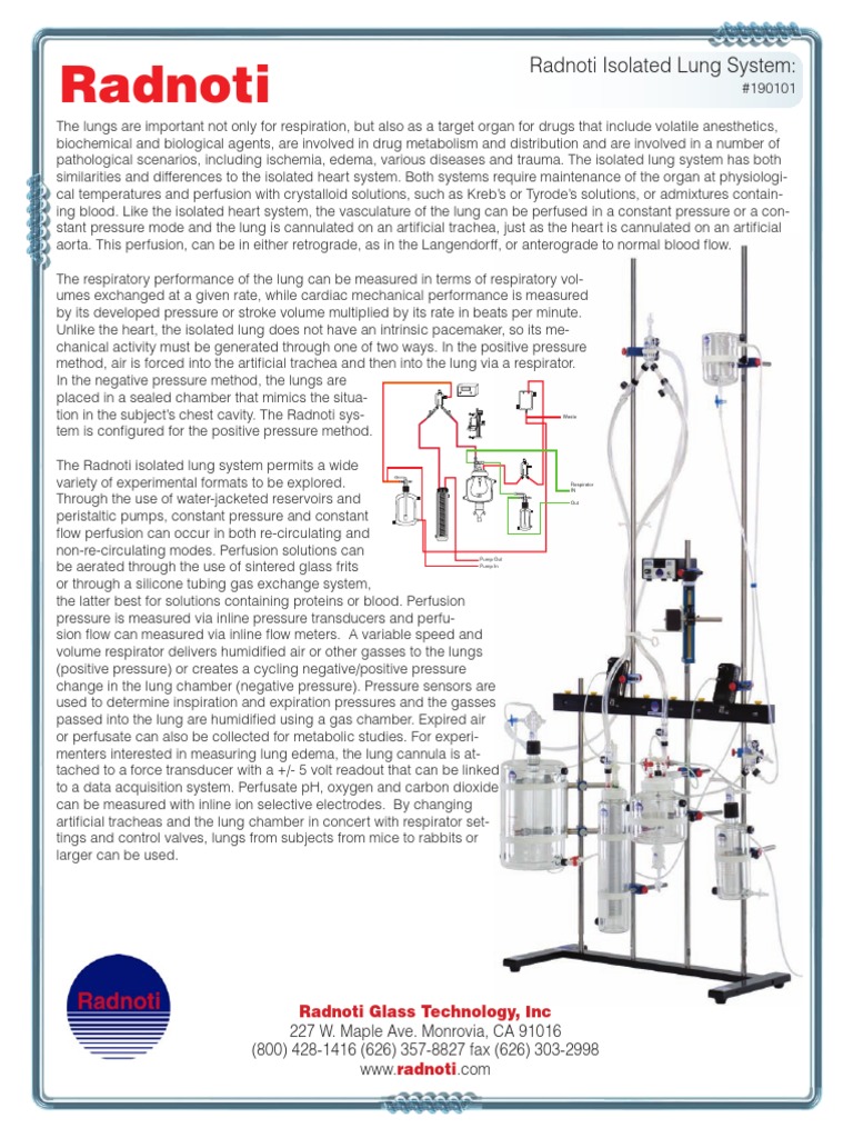 Radnoti: Radnoti Isolated Lung System | PDF | Lung | Heart