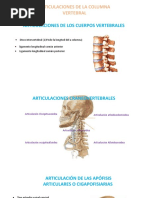 Articulaciones y Ligamentos de La Columna Vertebral | PDF