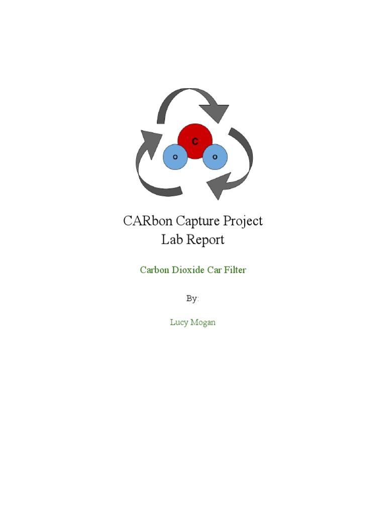 Carbon Capture Lab Report: KOH & Nylon Filters | PDF | Chemical ...