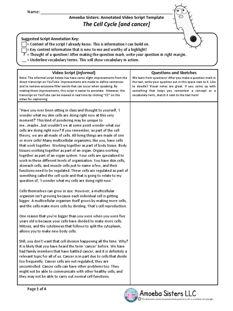 Annotated Video Script TEMPLATE Cell Cycle by Amoeba Sisters | PDF ...