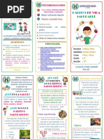 Triptico de Vida Saludable | PDF | Salud y bienestar