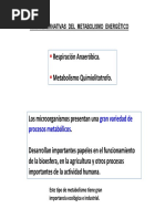 QUIMIOTROFOS | PDF | Sustancias químicas | Biología