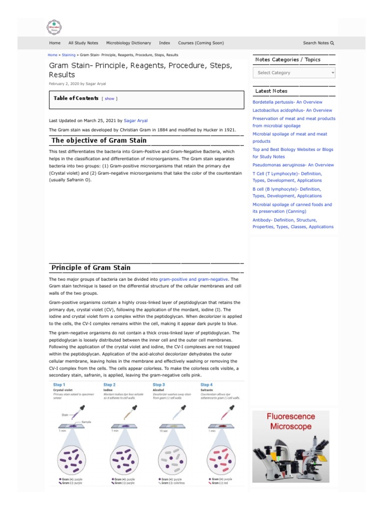 Microbenotes Com Gram Stain Principle Reagents Procedure and Result ...