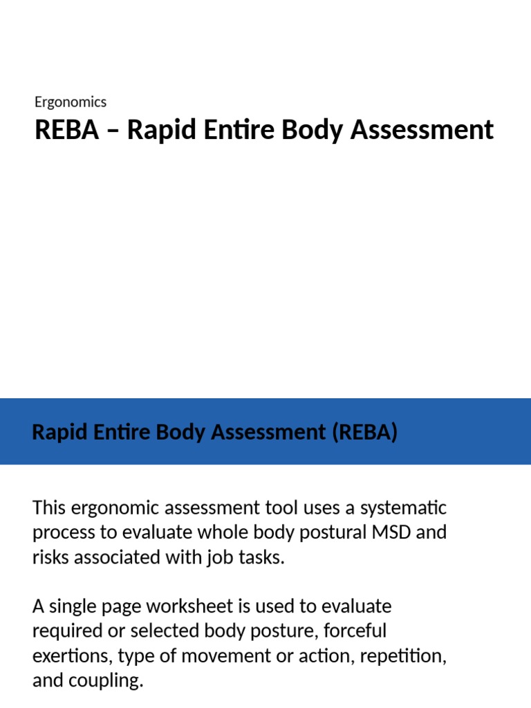 REBA Ergonomic Assessment Tool | PDF | Arm | Human Factors And Ergonomics