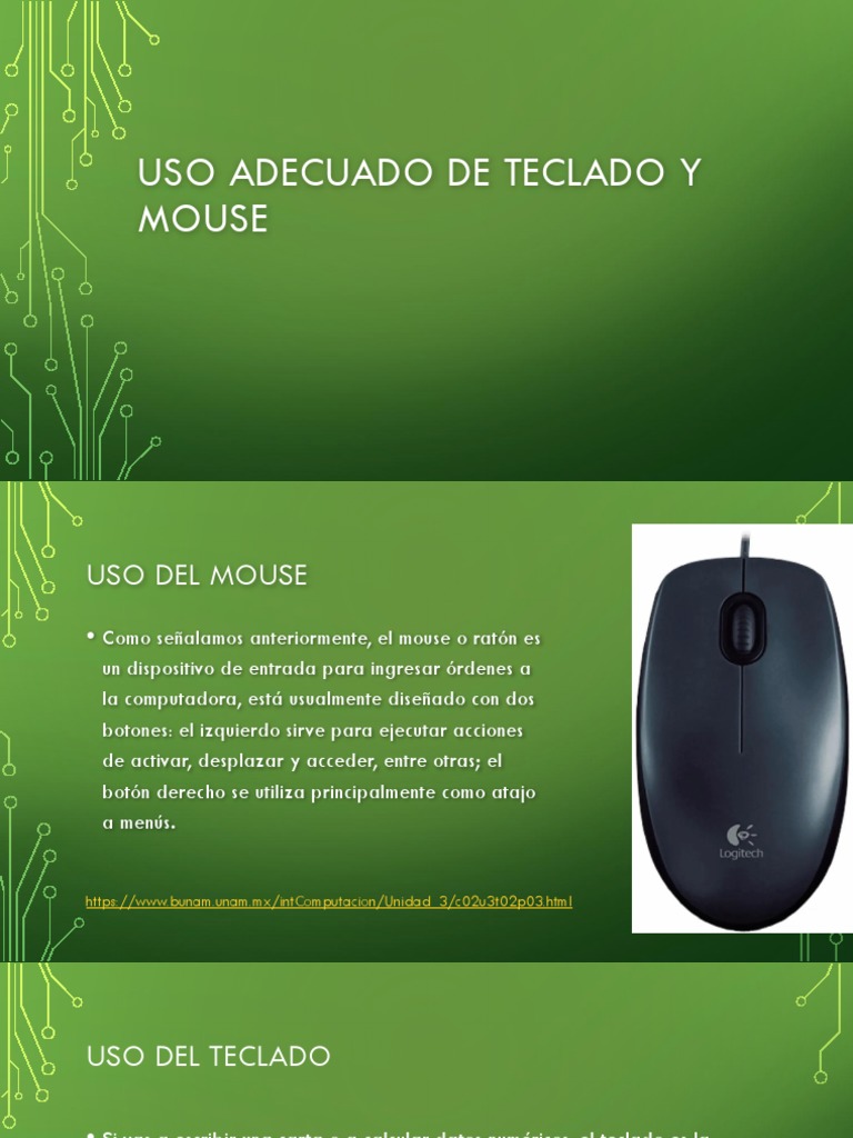 Uso Adecuado Del Mouse y Teclado | PDF | Informática | Tecnología