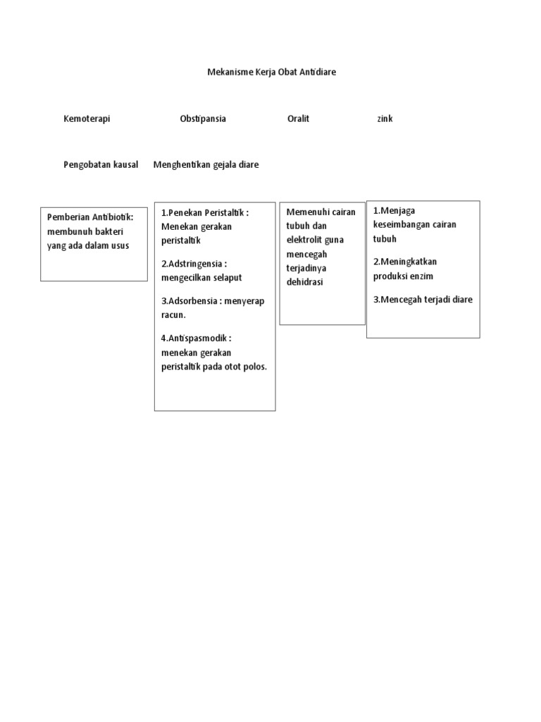 Mekanisme Kerja Antidiare | PDF