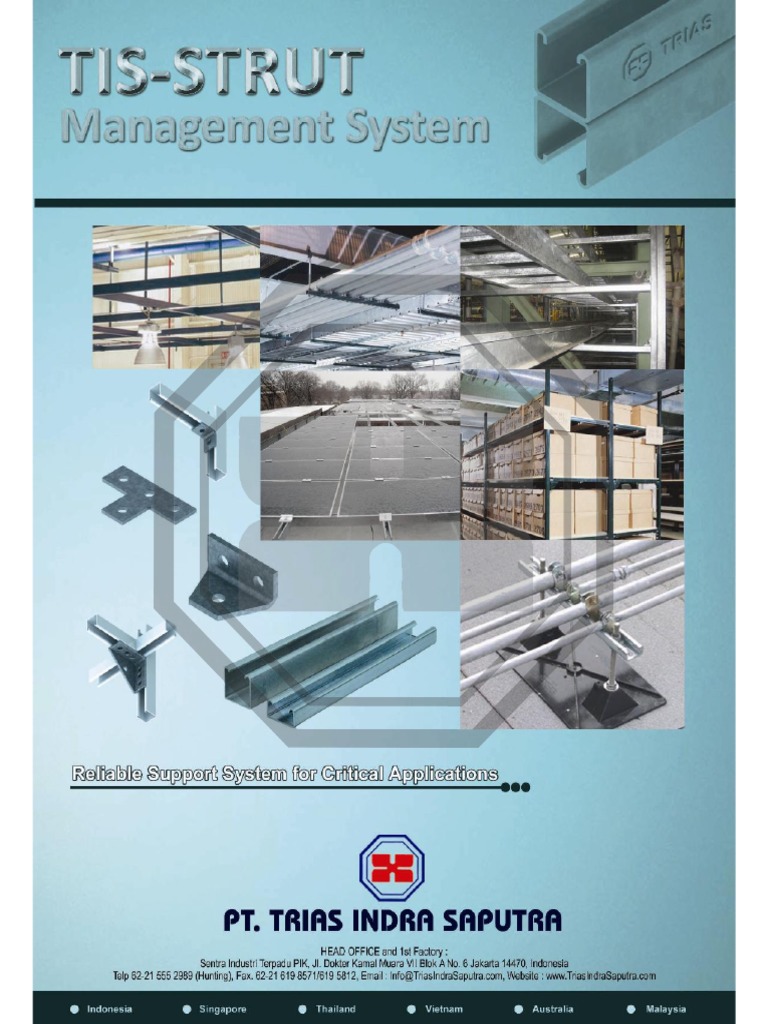 TIS-Strut Management | PDF