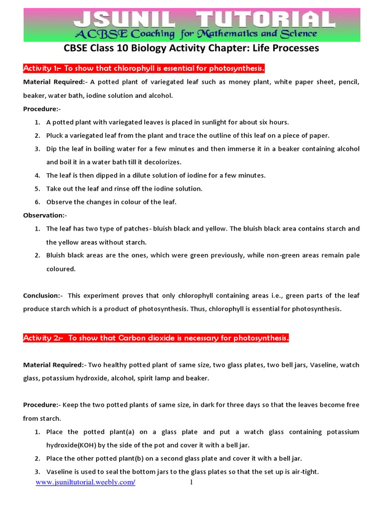 CBSE Class 10 Biology Activity Chapter: Life Processes | PDF | Seed | Taste